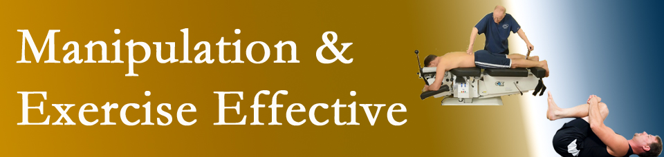 Exercise and Manipulation to Stop the Bother of Back Pain | Cox ...