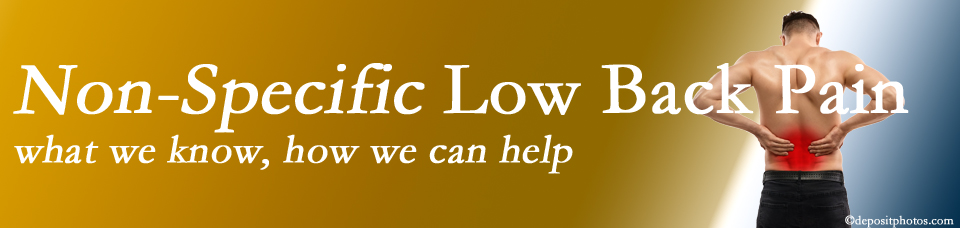 Taking the ‘Non-Specific’ out of the Non-Specific Low Back Pain ...